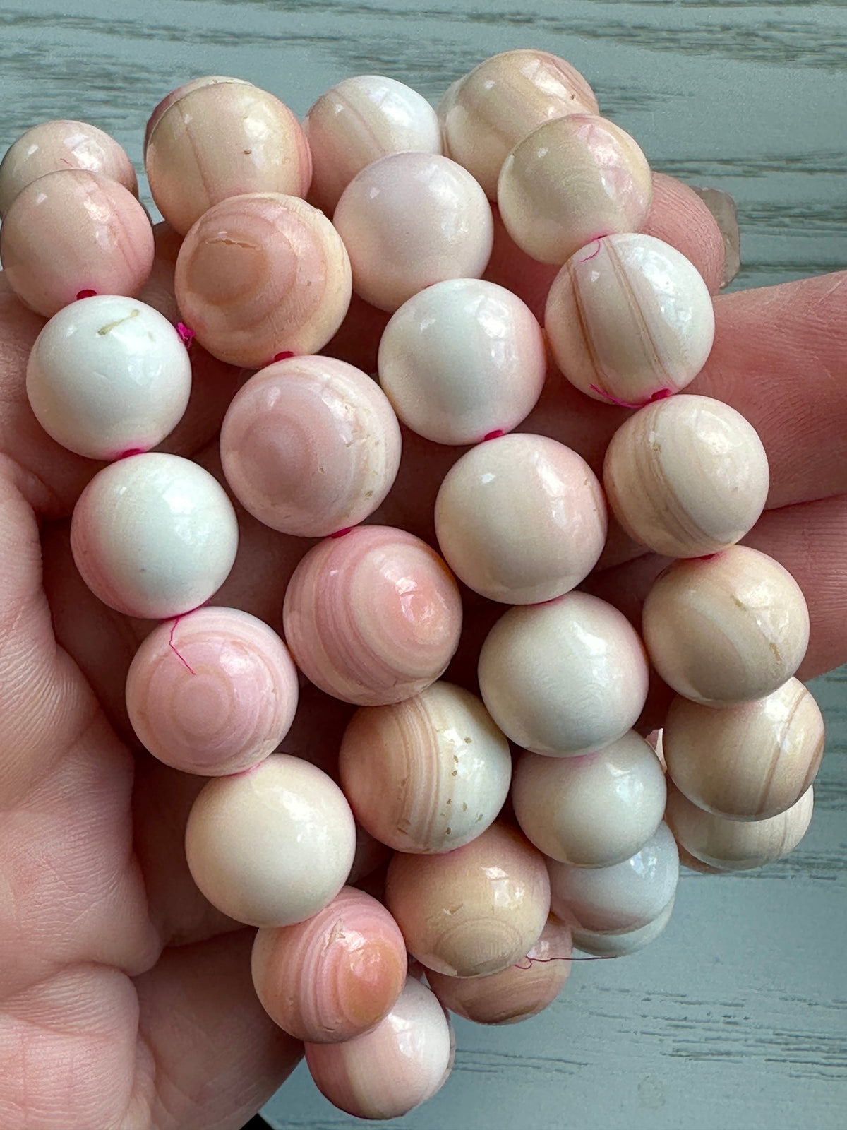 Rare Pink Queen Conch Shell Bracelet - 12mm — Crystal Sanctuary Australia