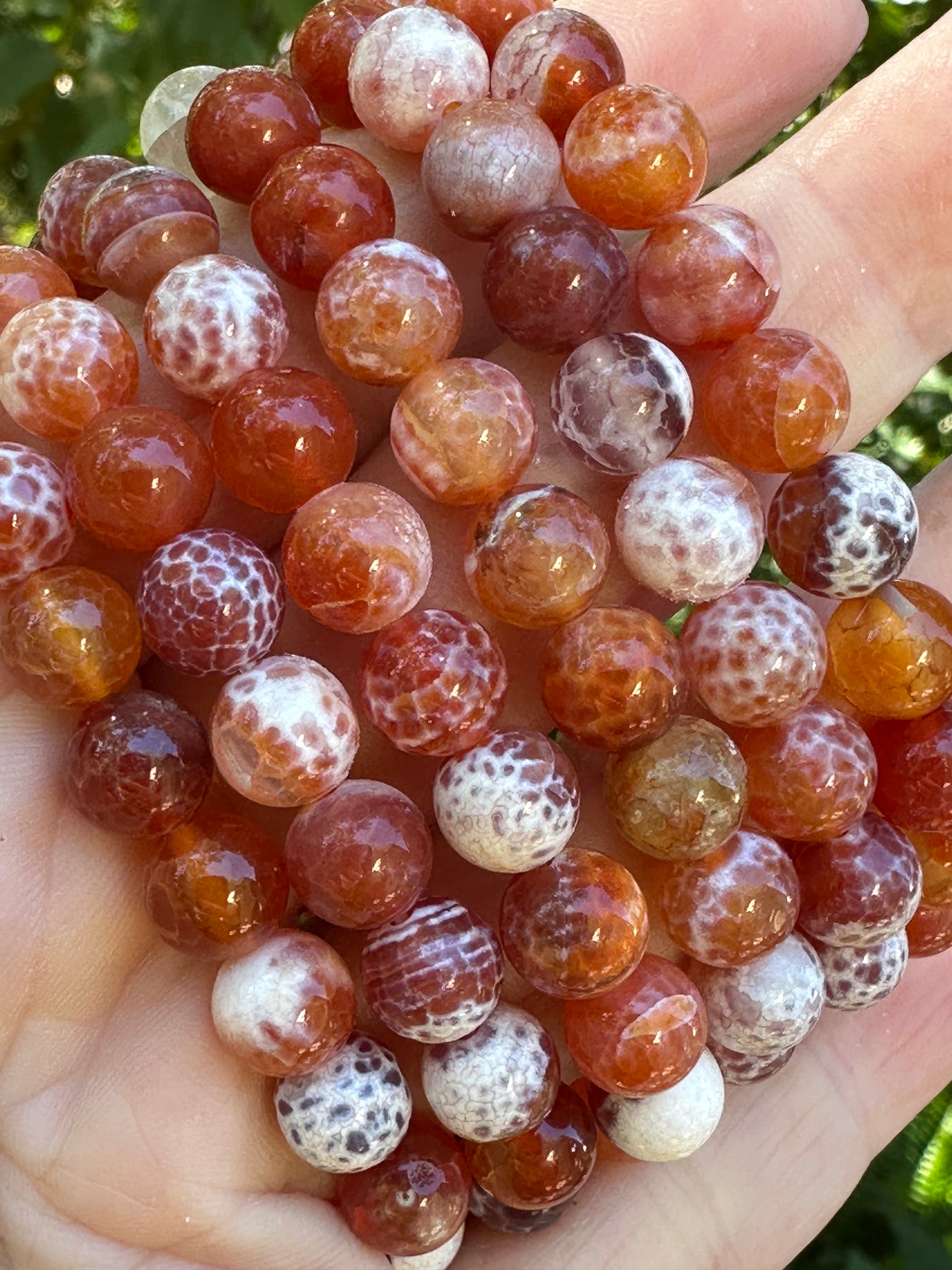 Red Fire (Snakeskin) Agate Bracelet — Crystal Sanctuary Australia