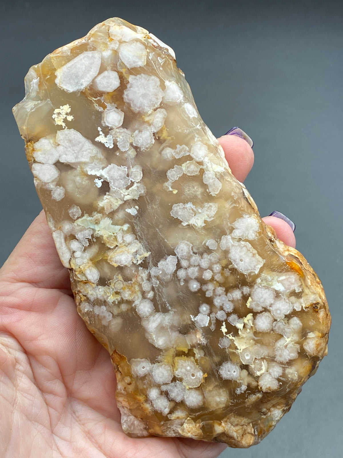 Flower Agate Slab/Slice - Various Choices — Crystal Sanctuary Australia